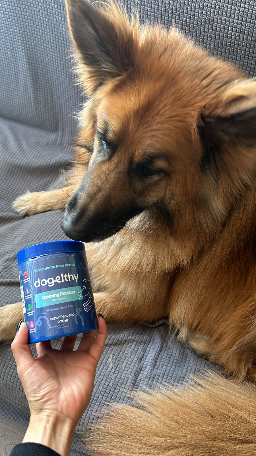 Comunidad – Dogelthy