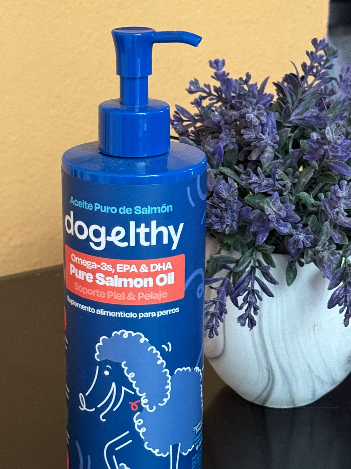 Comunidad – Dogelthy